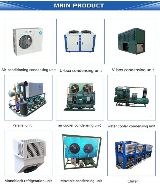 Condensing unit for cold room storage CAJ2446ZBR Made in China CAJ2446Z R404A 1HP compressor small Tecumseh condensing unit