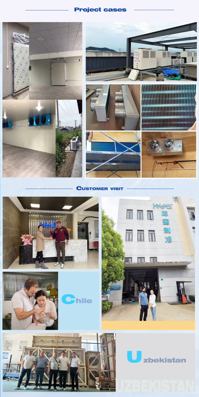 YWF Series 200 to 630mm Fan Blade Motor Condenser Evaporator Fan Manufacturer External Rotor Axial Flow Fan Price