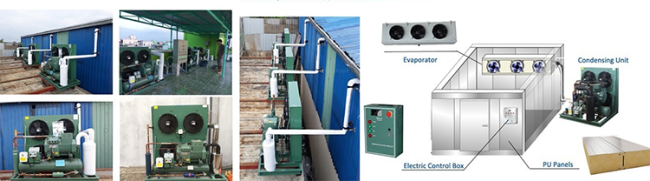 KUB company information