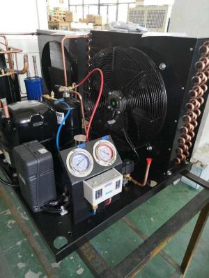 Китай Блок R404a 1hp компрессора рефрижерации CAJ2446ZBR CAJ2446Z конденсируя продается