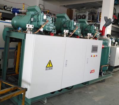 China Três unidades de refrigeração paralelas do parafuso para o armazenamento frio -18 graus à venda