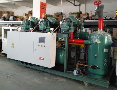 China Três unidades de refrigeração paralelas do parafuso para o armazenamento frio -18 graus à venda