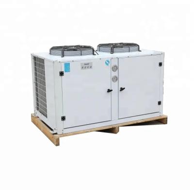 Commerciële ZB76KQE-10HP koelcondensatie-eenheid en R404A condensatie-eenheid voor koelruimte