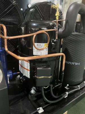 China TAG2516Z Tecumseh Compressor Refrigeration Unit Freezer Unit R404a Condensing Unit For Walk In Freezer Room for sale