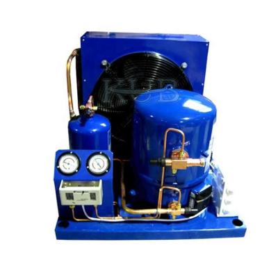 China KUB FH18 NTZ048L NTZ048 Hermetic Compressor 2hp Condensing Unit Piston Cooling Cold Room Refrigeration Unit for sale