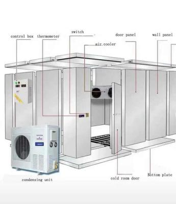 China R404A Kühllager 81 m³ Temperatur 0 bis 12 °C für Gemüse zu verkaufen