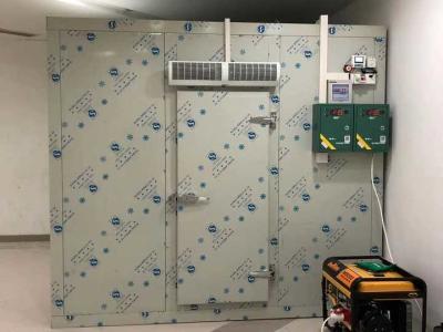 China R404A Kühllager 81 m³ Temperatur 0 bis 12 °C für Gemüse zu verkaufen