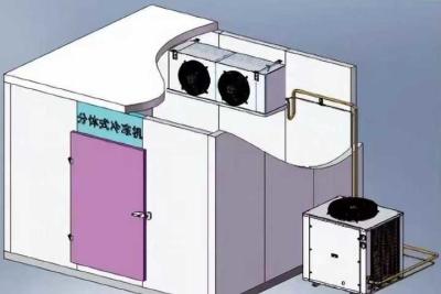 China R404A Kühllager 81 m³ Temperatur 0 bis 12 °C für Gemüse zu verkaufen