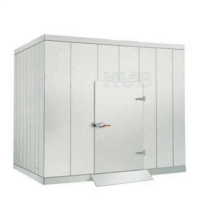 China 25℃ Cold Storage Subsidy Servicer Uk India 150m³ Cold Food Storage Room for sale