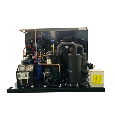 Cina TAG2516Z 4HP Tecumseh Refrigeration Condensing Unit 380V in vendita