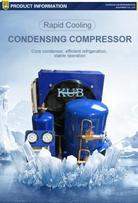 China Unidad de condensación hermética de 3 HP R22 de 380 V para almacenamiento en frío en venta