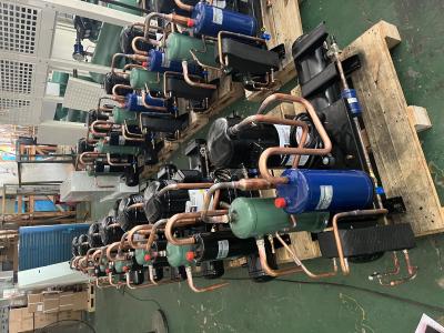 Cina 8 HP Copeland ZFI36KQE Unità di condensazione a bassa temperatura 380V R404A in vendita