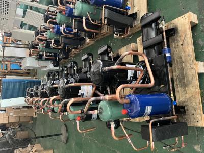 Cina 8 HP Copeland ZFI36KQE Unità di condensazione a bassa temperatura 380V R404A in vendita
