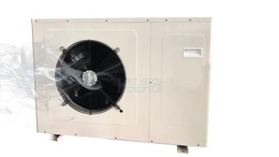 China Zb19kq-Tfd R22 Cold Room Freezer Compressor Dual Flexible Cost Efficiently for sale
