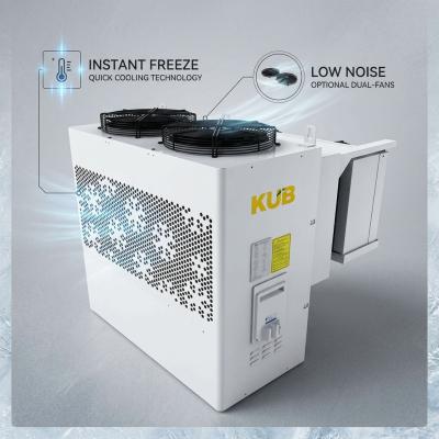 China High COP 3.2 Energy Saving Small Condensing Unit 3HP Scroll DC Inverter R404A Variable Speed Cold Room Freezer for sale