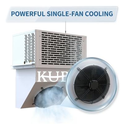 China IP65 Outdoor Weatherproof Small Condensing Unit 3HP Hermetic Scroll R404A Rainproof Housing Cold Room Installation for sale