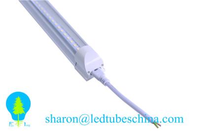 Cina T5 ha condotto i tubi di collegamento T8 del tubo/LED/tubo principale t5 integrato con 5 anni di garanzia in vendita