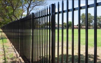 China Wrought Iron Fence Panels , Wrought Iron Privacy Fence Aging - Resistant for sale