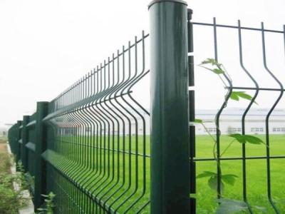 China China suppliers 3D Curved Welded Wire Mesh Fence/ Curved wire mesh fence for sale