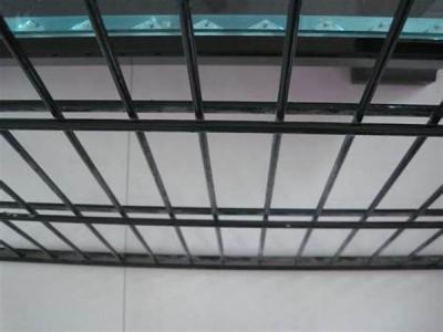 China 2D Double Mesh Fence Panel/Twin Wire Weld Mesh Fencing/8/6/8 wire mesh fence for sale
