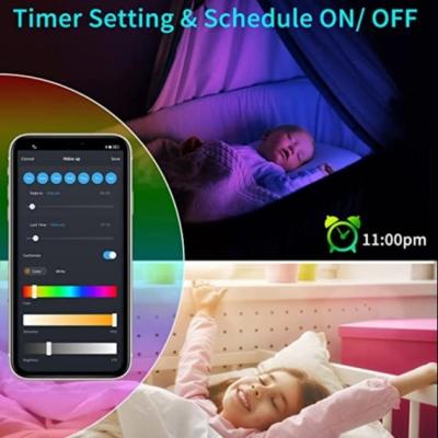 China RGB Waterproof Gradient Light Strip Remote Control HighTiming RF 5m Smart LED Strip for sale