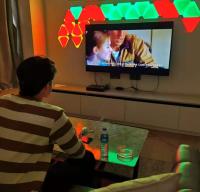China Triangle LED Light Panel RGB Multicolor 24W 80m Smart WiFi Music Control Wall Lamp for sale