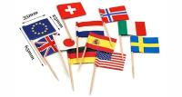 China Eco Friendly Disposable Country Flag Toothpicks Custom Logo ISO9001 8cm for sale