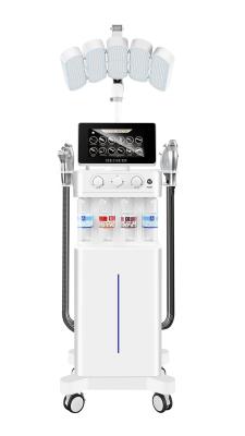 China 12 In 1 Hydrafacial Machine 800W Hydrafacial Dermabrasion Machine for sale
