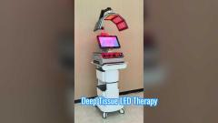 AI LED Light Therapy Deep Tissue Skin Clinic Machine