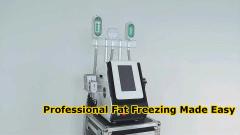 Professional Tabletop 360 Cryolipolysis Fat Freezing Machine