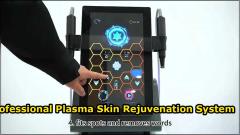 Professional Cold and Hot Plasma Skin Rejuvenation System