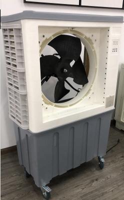 China Moly 7500m3/h outside summer water portable air cooler for sale
