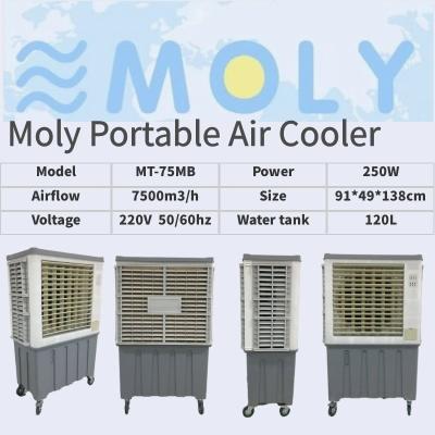 China Moly 250W 7500m3/h iraq sudan portable air coolers for sale
