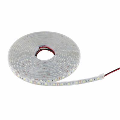 China DC12V 60LED IP67 5050 Flexible LED Ribbon Light for sale