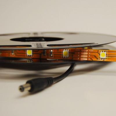 China CE Approved IP20 30LEDs/Meter 5050 LED Flexible Strip Light for sale