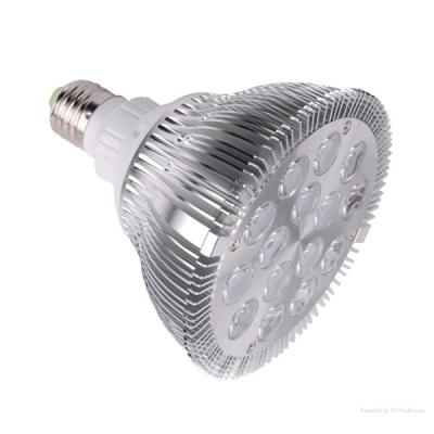 China CE Approved Dimmable 15W PAR38 LED Spot Light for sale