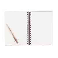 China Custom Logo Printing Planner Manifest Journal Notebook 2021 for sale