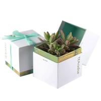 China Custom Printed Succulent Planter Gift Box Succulent Packaging Box for sale