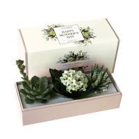 China Custom Printed Succulent Planter Gift Box Succulent Packaging Box for sale