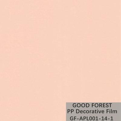 Cina Film decorativo del fondo del polipropilene del grano del raso del film dell'OEM pp in vendita
