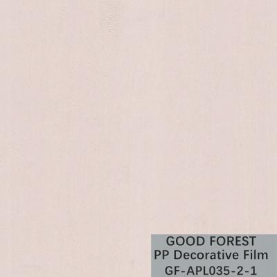 Cina Superfici decorative del substrato del film di duttilità pp con Misty Rain Grain in vendita