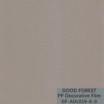 Cina La lucertola decorativa adesiva Dermatoglyph del film dei pp può essere processo appiattito in vendita