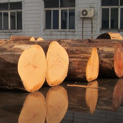 Cina Legno ricomposto Veneer Walnut Burl WTB-X2833 Spessore 0,45 mm Personalizzato per la decorazione dell'hotel in vendita