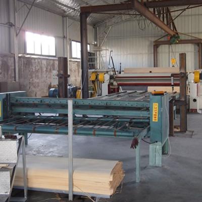 China American Crown Grain Fancy Wood Veneer White Oak 1566C personnalisé 2200-3100mm Pour le cabinet for sale