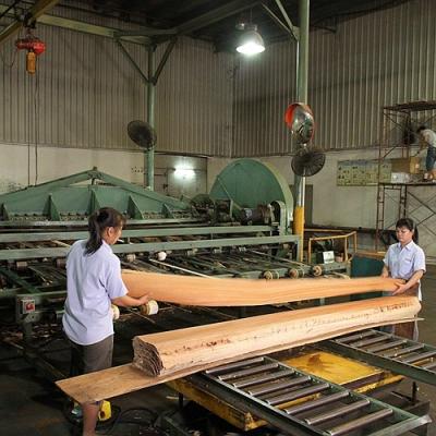 Cina Prezzo bianco naturale di spessore 0.55mm di Ash Veneer Wood Burl Grain dell'hotel buon per la vendita all'ingrosso della Cina della decorazione dell'hotel in vendita
