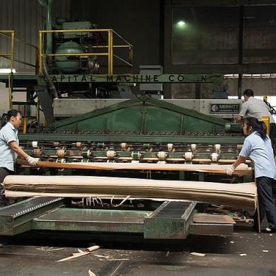 Cina Europa che il legno calcolato naturale del sicomoro impiallaccia la corona tagliata piana ha tagliato lo spessore 0.5mm per la morte ed il Governo in vendita
