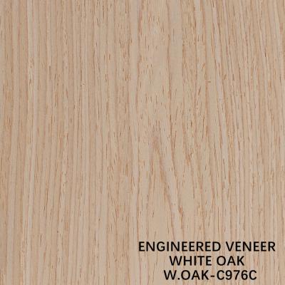 Chine Reconstituted Decorative Engineered Wood Veneer White Oak 976C Crown Grain 0.15-0.55mm à vendre