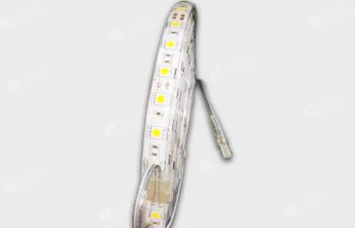 China SMD 5050 5M / Reel IP65 Warm White Soft Strip 12V / 24V For Roof Decoration for sale