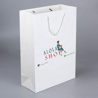 China premium white clothing paper shopping bags with brand logo printed for promotion for sale