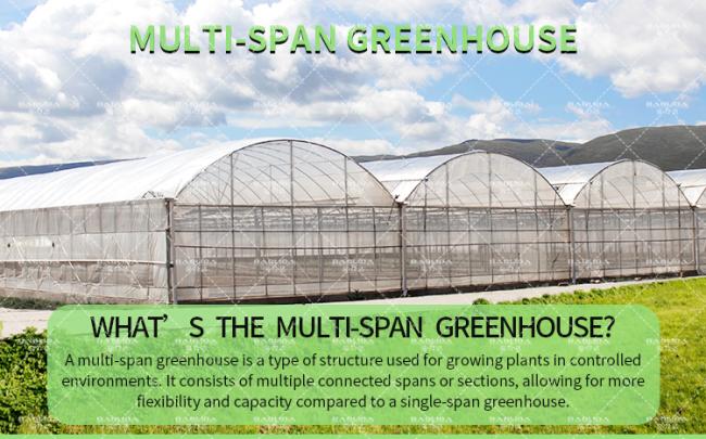 Multi-span plastic greenhouse structure